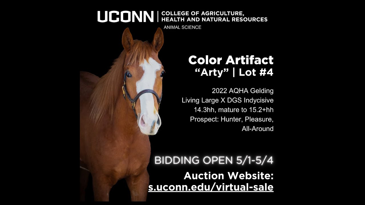 Color Artifact Lot #4 - YouTube