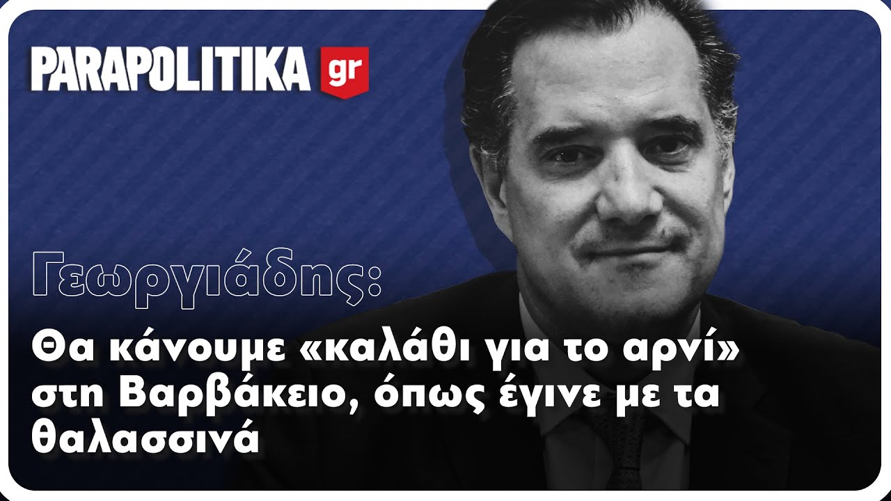 Γεωργιάδης: Θα κάνουμε «καλάθι για το αρνί» στη Βαρβάκειο, όπως έγινε ...