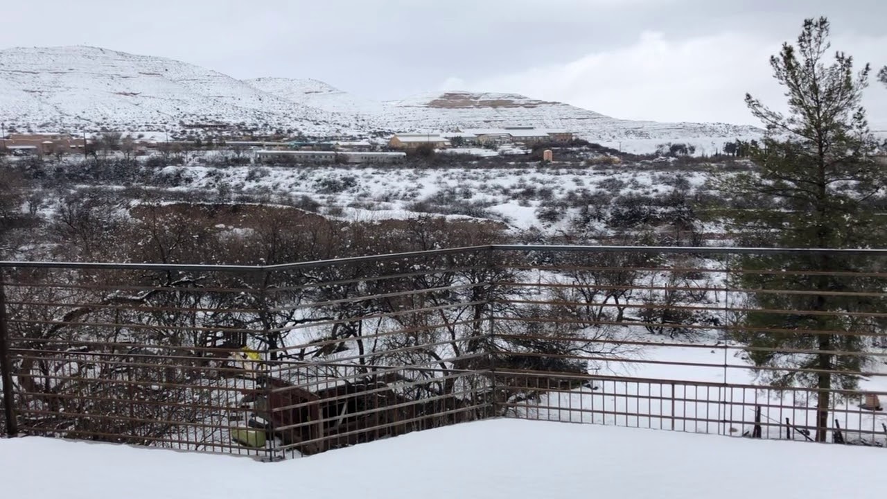 POLAR PLUNGE!!! Kid jumps in frozen pool! - YouTube