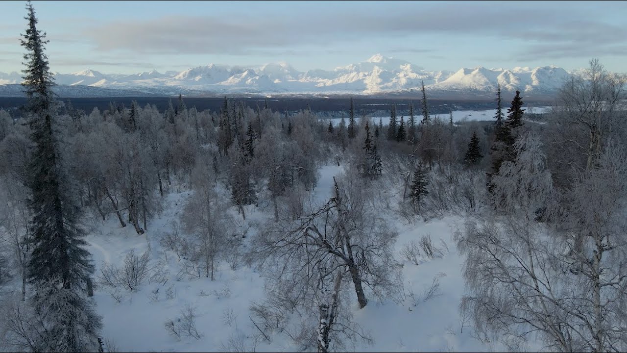 Alaska's Mount Denali in Winter - YouTube