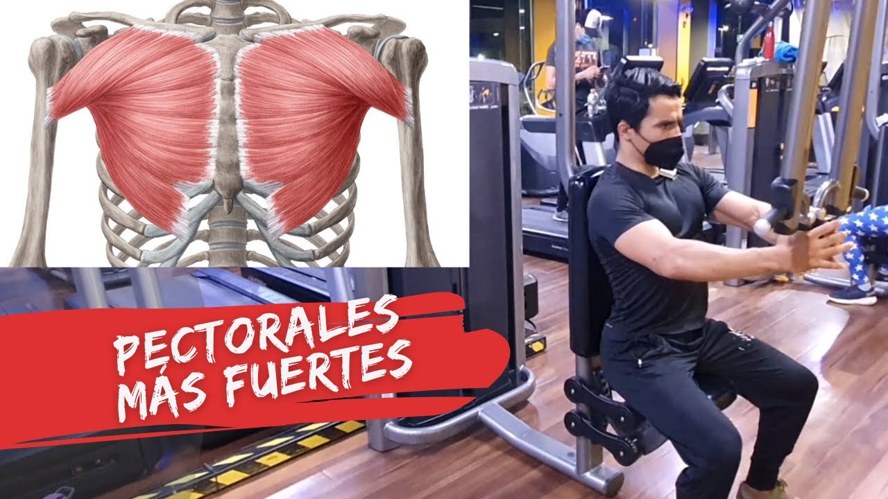 ¿Cómo hacer PECK DECK? - YouTube