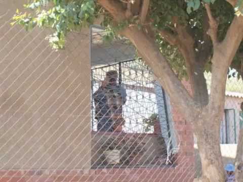Solomon's Story by Judy Froman - YouTube