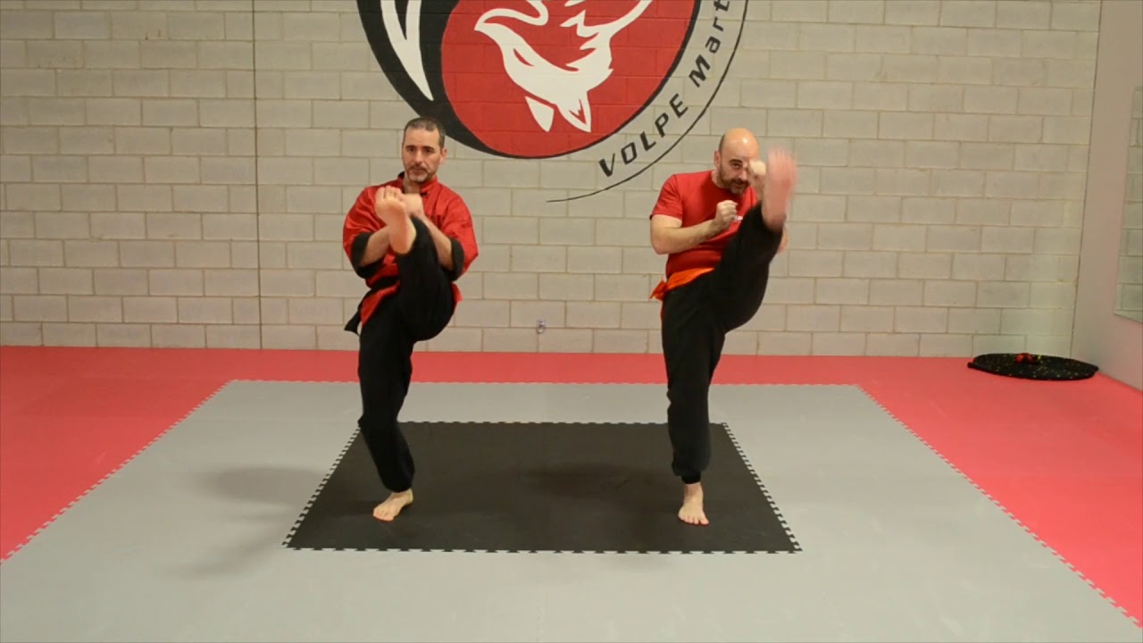 Various Kicks from a Forward stance - YouTube