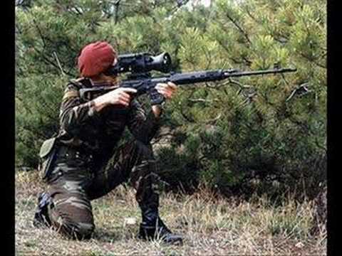 Bordo Bereliler