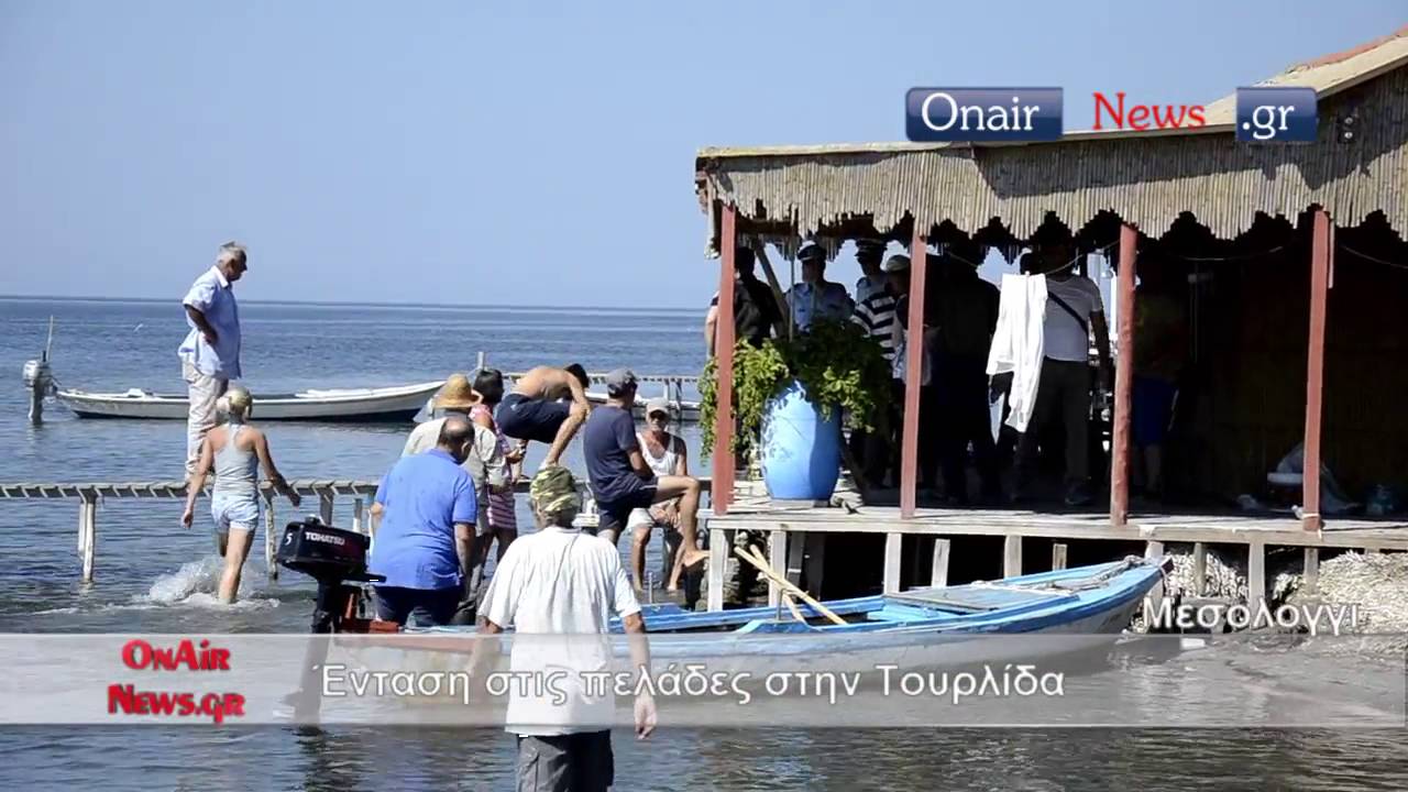 Ένταση στην Τουρλίδα Μεσολογγίου για τις πελάδες - YouTube