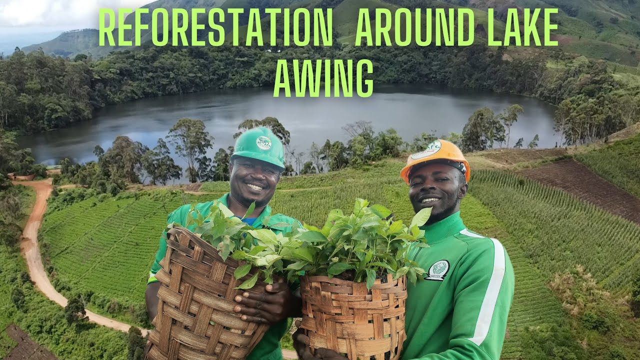 Lake Awing Massive Reforestation Project. 13,000 Trees To Be Planted ...