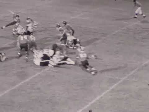 1968 John Dobbins (Radford)  18 - yard TD run Vs Liberty