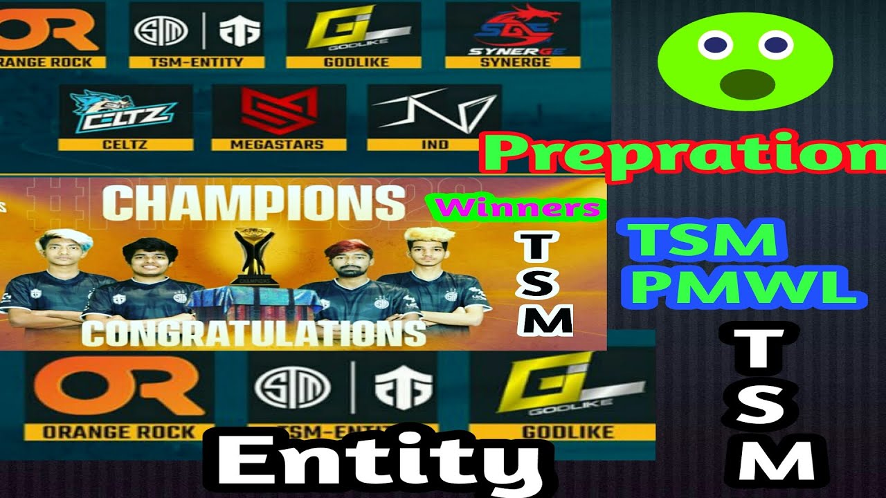 PMWL 2020/TSM India/TSM Entity,Godlike,OR,SynerGE,Celtz,Megastars,IND ...