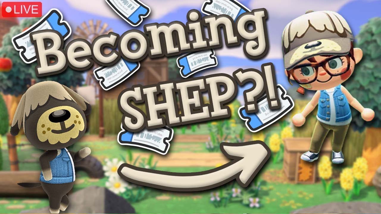 🔴Day 2 of Becoming Shep 🐶 | Animal Crossing New Horizons - YouTube