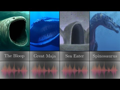 Sea Monster Sounds – The Bloop vs El Gran Maja vs Sea Eater vs Spinosaur Comparison