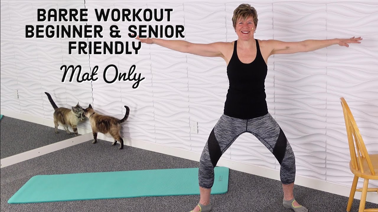 BEST 20 Minute Beginner and Senior Friendly Barre Workout! - YouTube