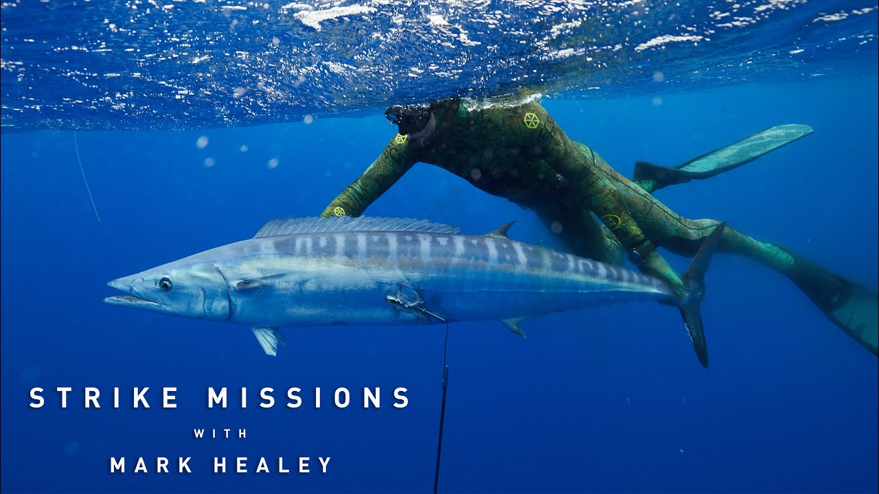 Mark Healey Spears A Giant Wahoo In A Massive School in The South ...
