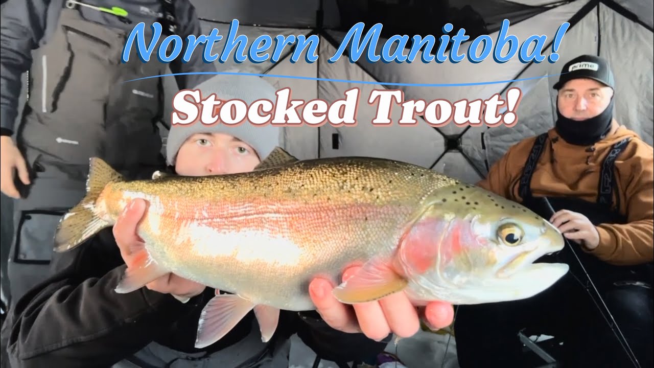 Chasing Trophy Stocked Trout in Northern Manitoba!! - YouTube
