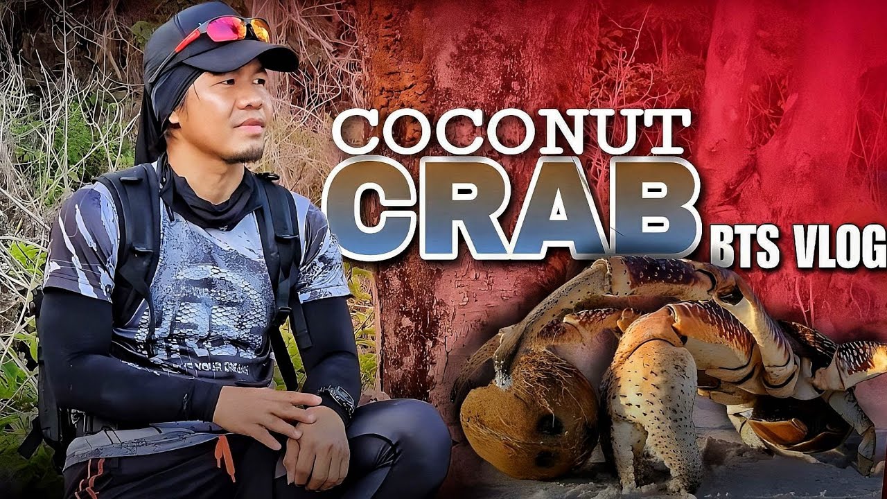 Coconut Crab BTS Vlog - YouTube