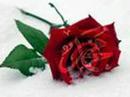 Muhammedin Askindandir