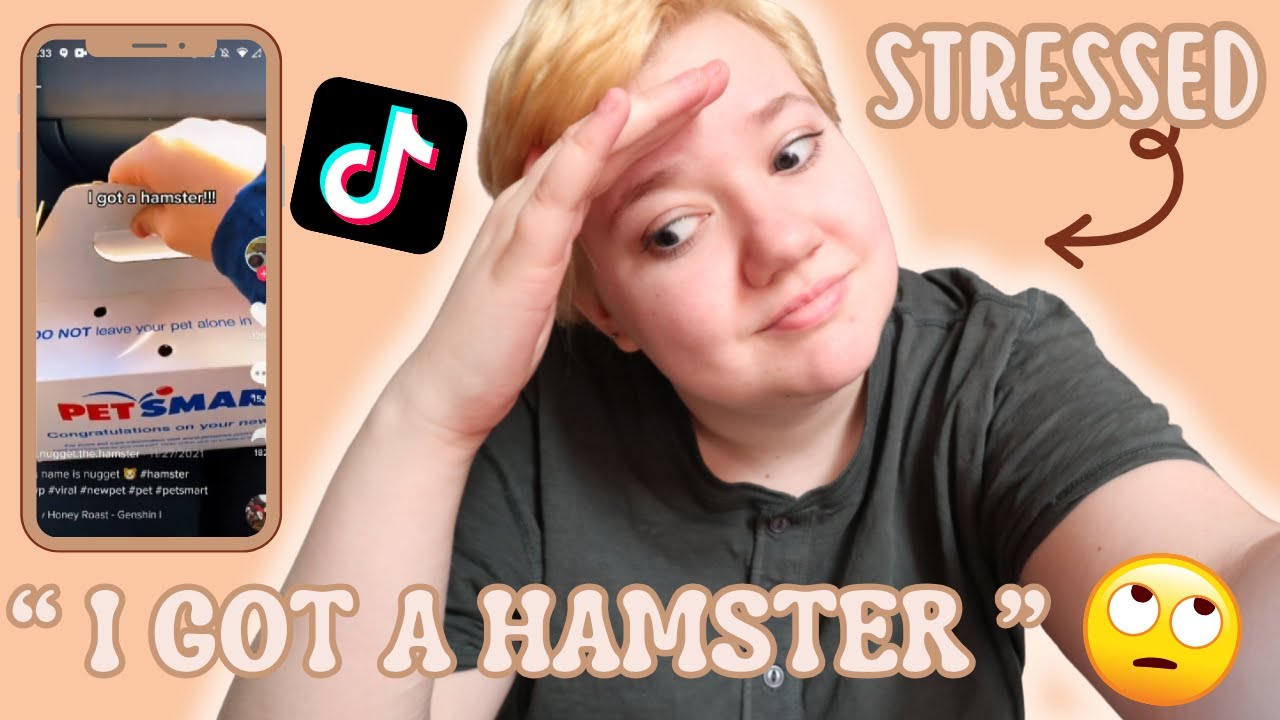 Shocking Reactions to Hamster TikToks 😱 - YouTube
