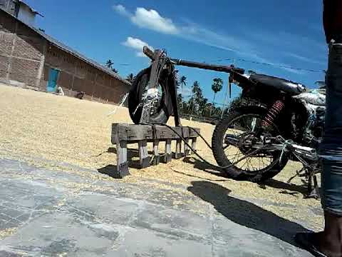 Tomak bugik
