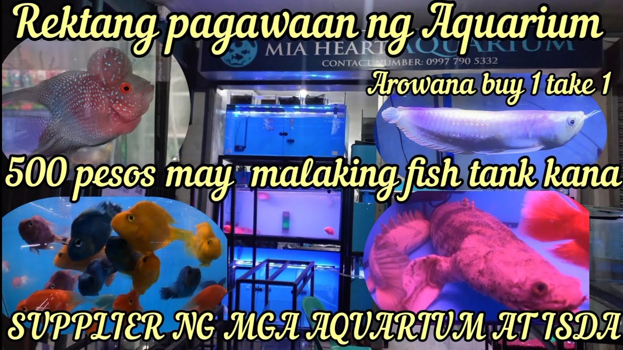 Murang pagawaan ng aquarium/direct supplier ng mga aquarium at isda sa ...