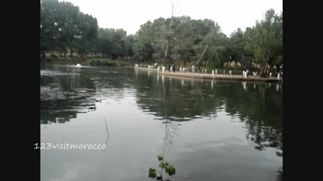 Lac Ifrane - Ifrane Lake - YouTube