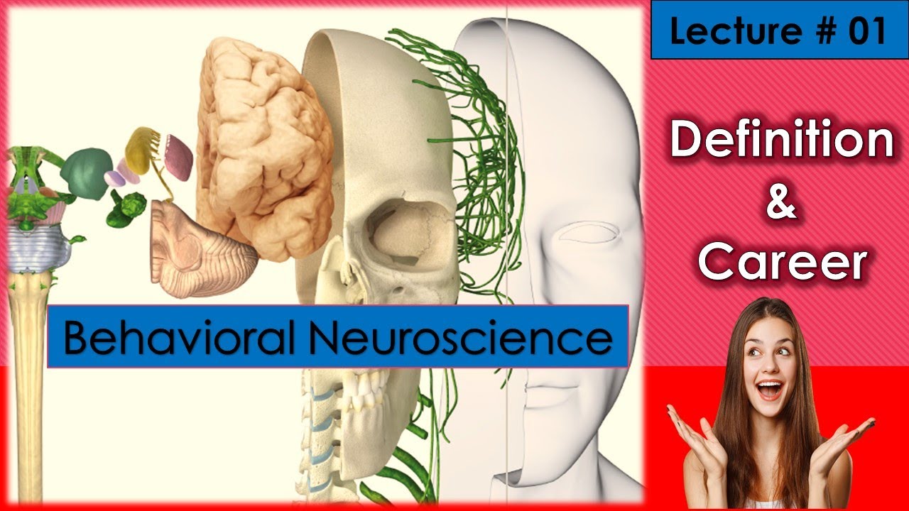 01. What is Behavioral Neuroscience? Careers of Neuropsychologist ...