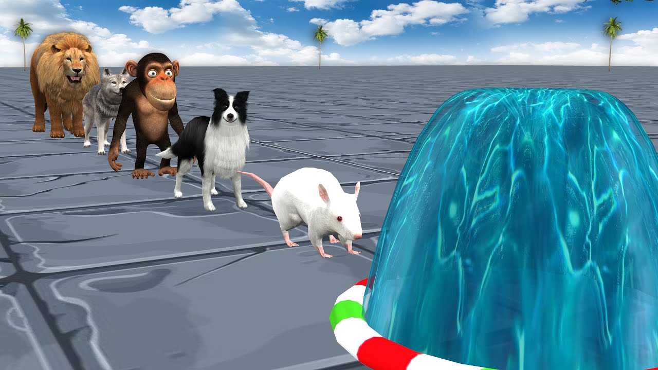 Long Slide Game With Elephant Gorilla Buffalo Hippopotamus Tiger - 3d ...