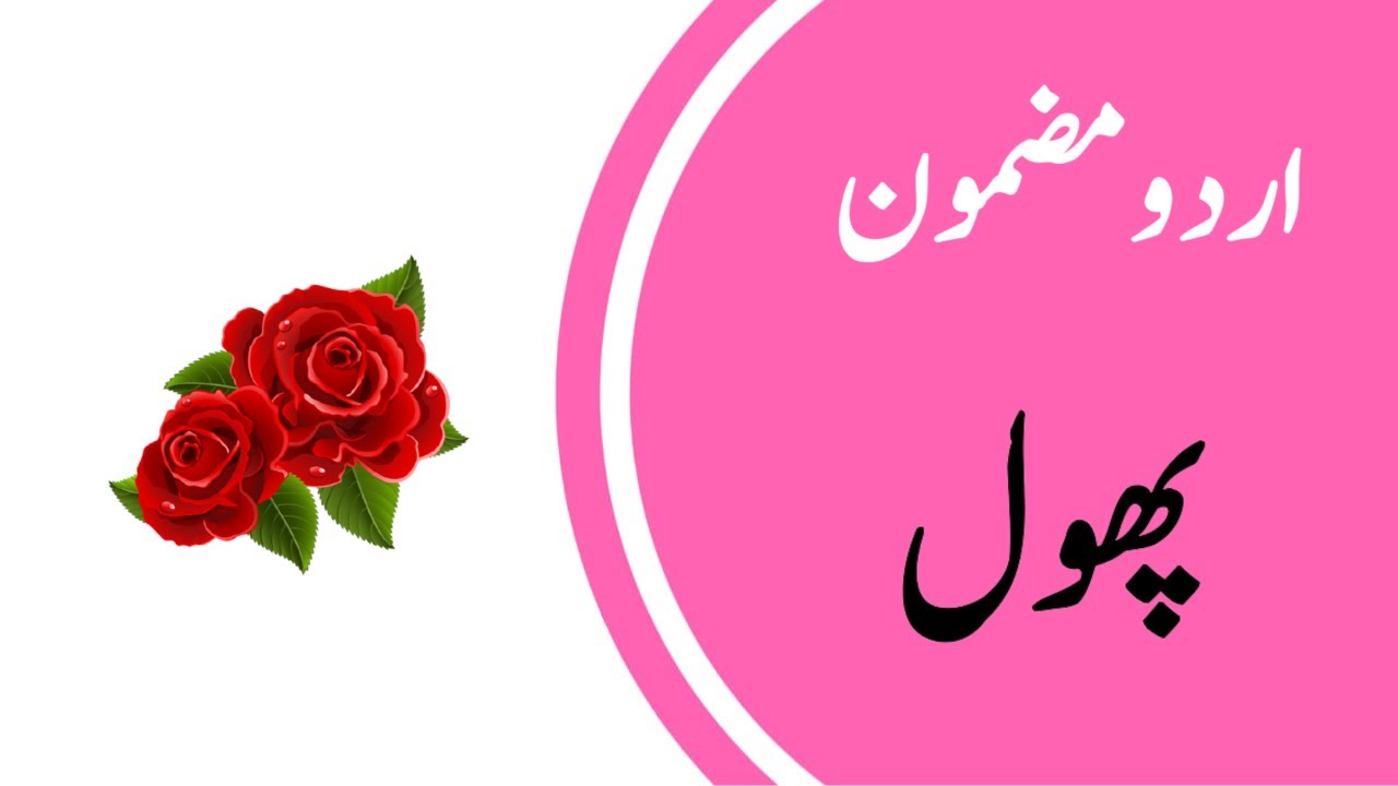 Write An Essay On Flowers In Urdu YouTube write-an-essay-on-flowers-in-urdu-youtube