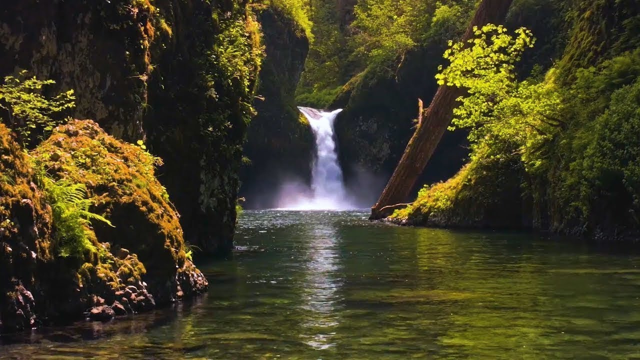 Beautiful Relaxing Music, Peaceful Soothing Music, "The Secret Light of ...