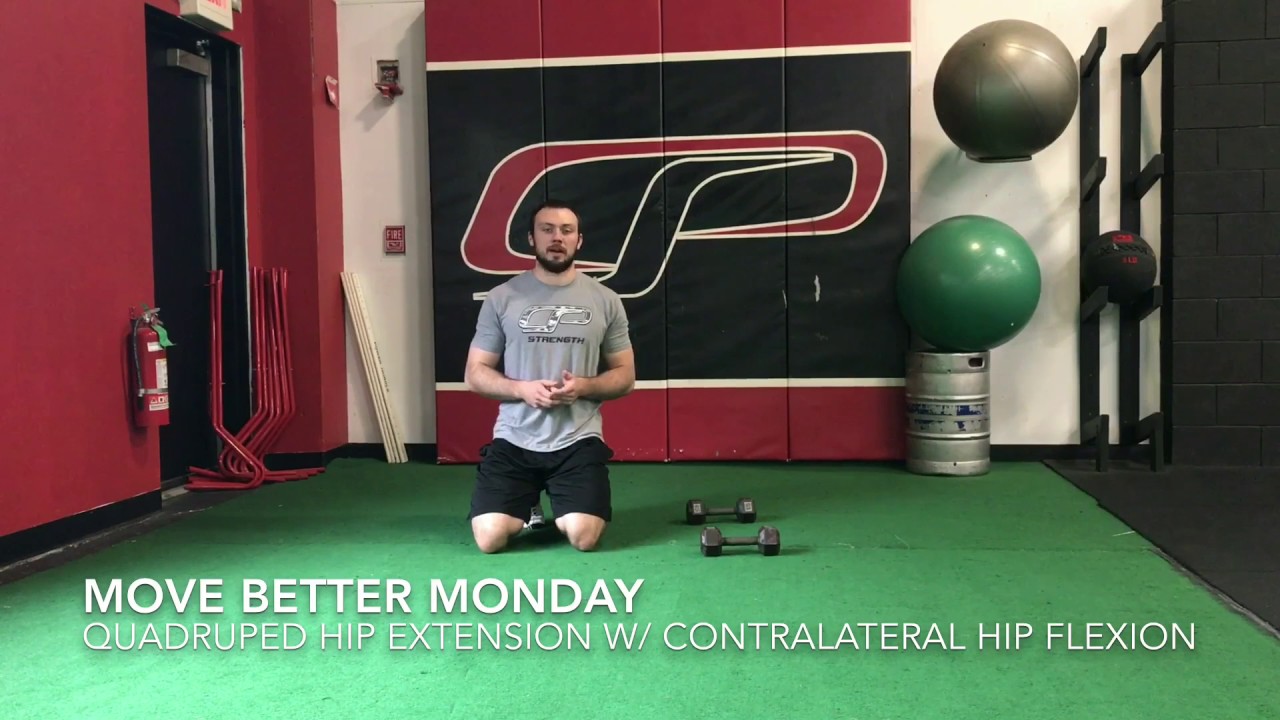Move Better Monday: Quadruped Hip Extension w/ Contralateral Hip ...