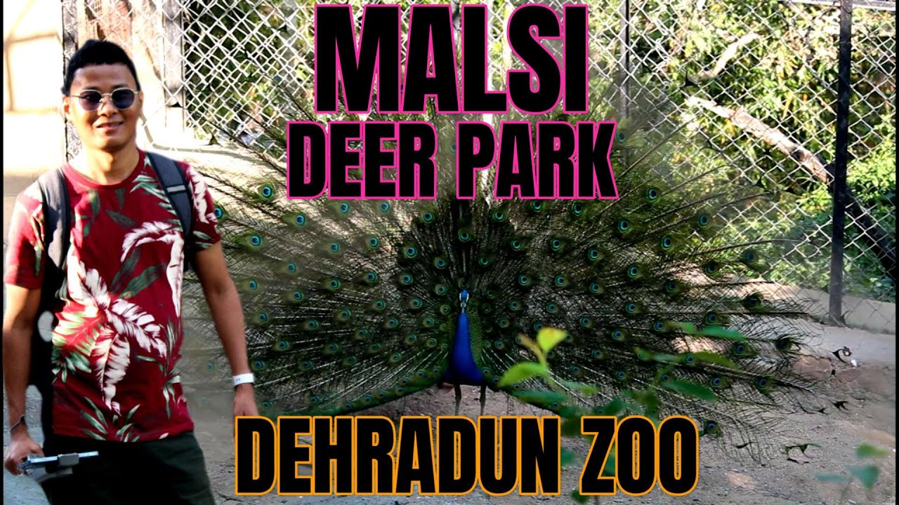 Malsi Deer Park | Dehradun Zoo | Birds | Snake House | Aquatic World ...