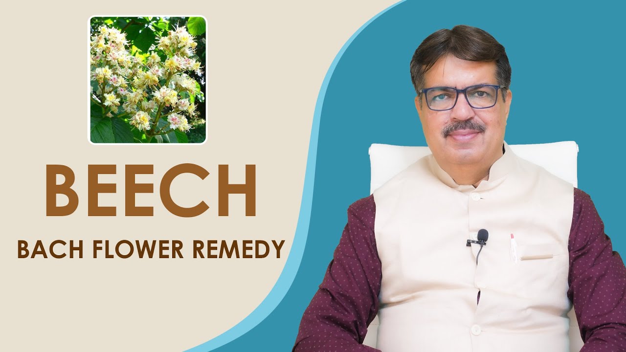 BEECH BACH FLOWER REMEDY | EXPLAINED BY DR. KEDARNATH A. LONGANI M.D ...