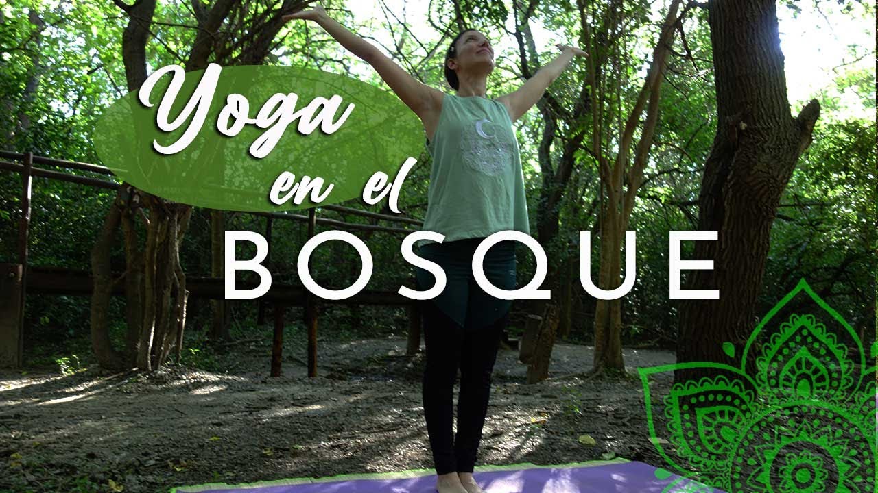 Yoga en el Bosque 🍁🌲 Principiantes | Punto de Yoga | Prof. Bonnie Lieby ...
