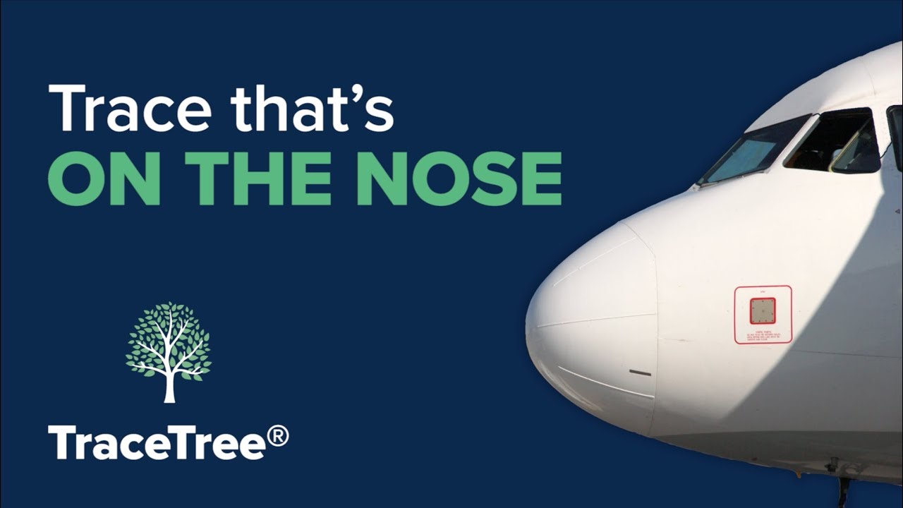 Trace That's On The Nose | TraceTree® - YouTube