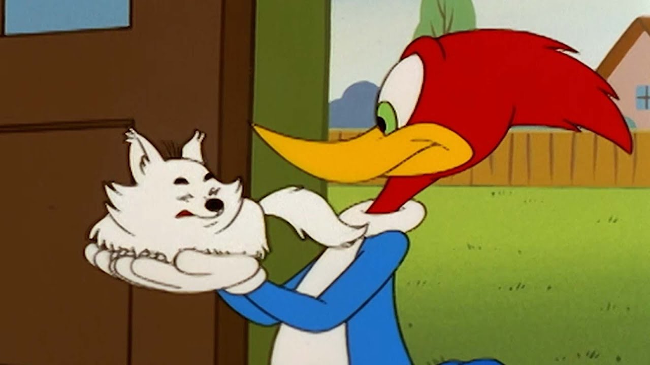 El Pájaro Loco | Woody es la niñera de un perro + Más Episodios ...