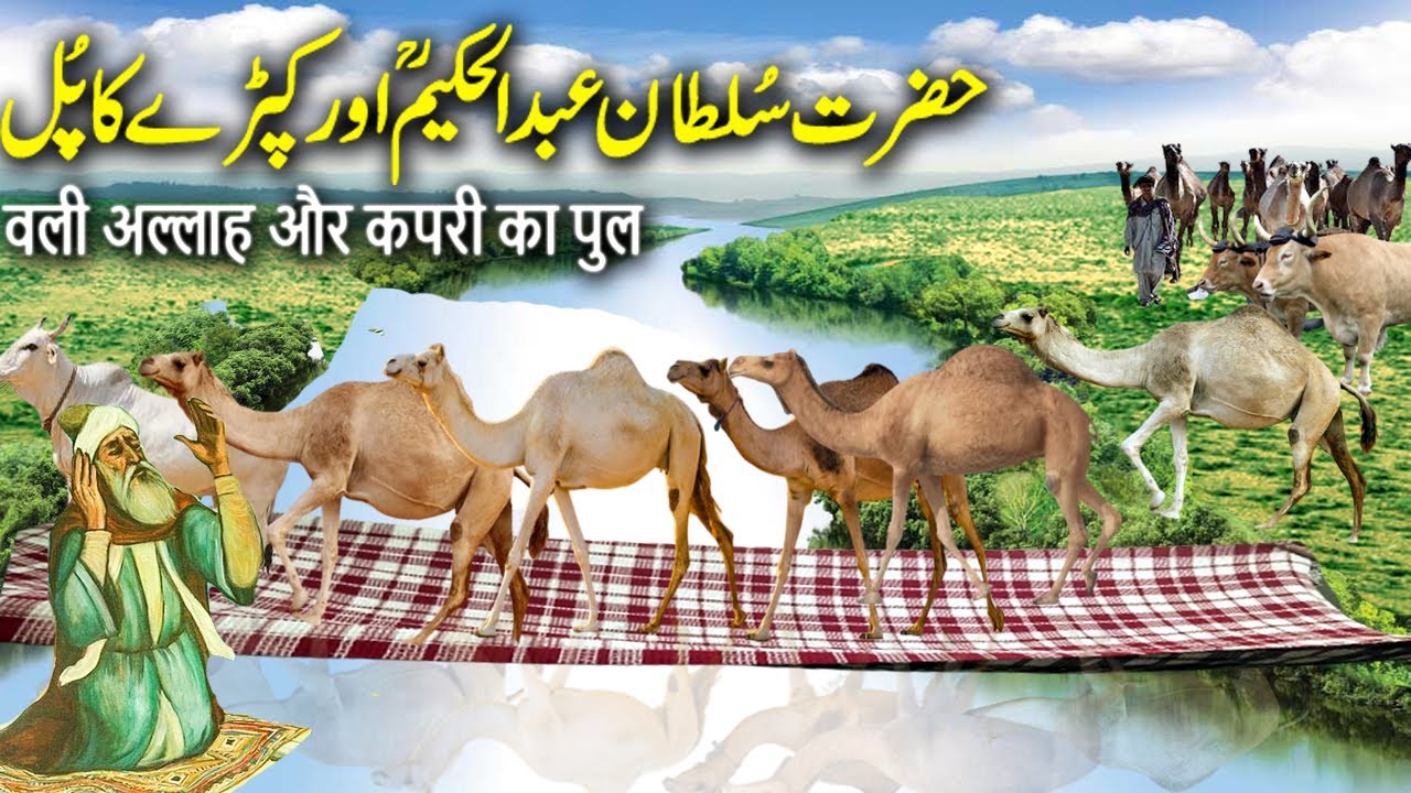 Hazrat Sakhi Sultan Abdul Hakeem Aur Kapry Ka Pul/वली अल्लाह और कपरी का ...