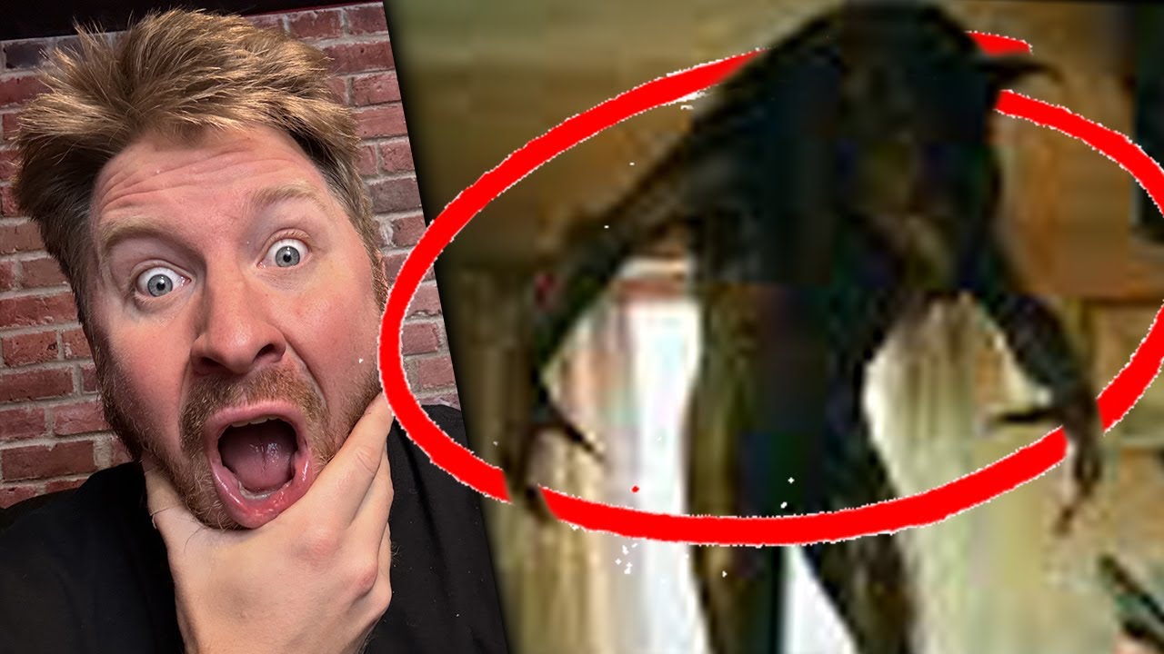 WEREWOLF /DOGMAN Sighting in Mississippi (REAL)!! - YouTube