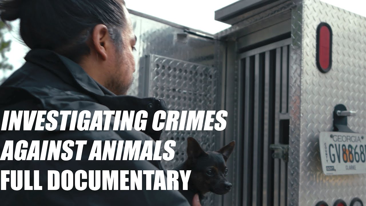 Investigating Crimes Against Animals| Beyond Sheltering | Free ...