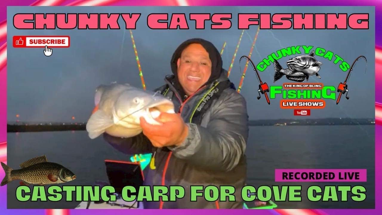 🔴 CHUNKY CATS LIVE FISHING SHOW: CASTING CARP FOR COVE CATS - YouTube