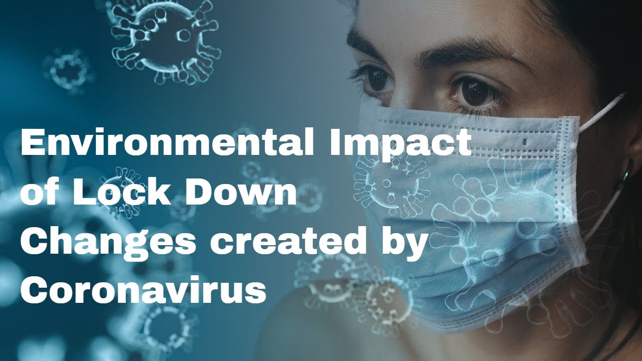 Environmental Impact of Lock Down. Changes created by the Coronavirus ...