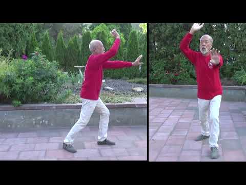 108 moves Moy TaiChi set - Move #30 Turn & Chop with Fist