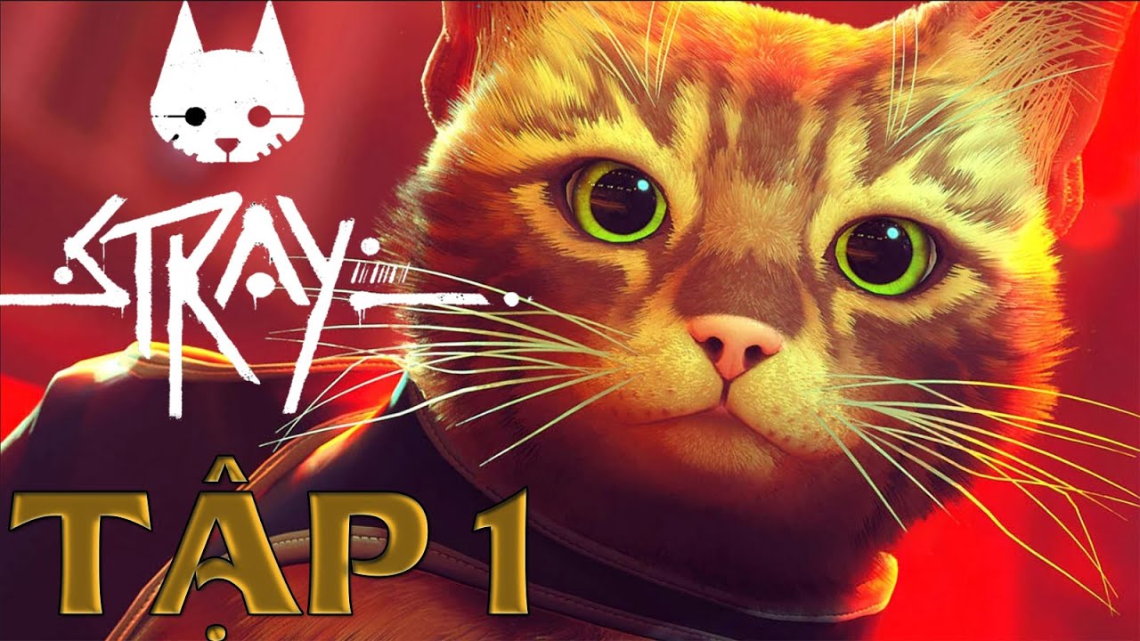 STRAY | TẬP 1 | : Prologue – Những ngày êm đềm - YouTube