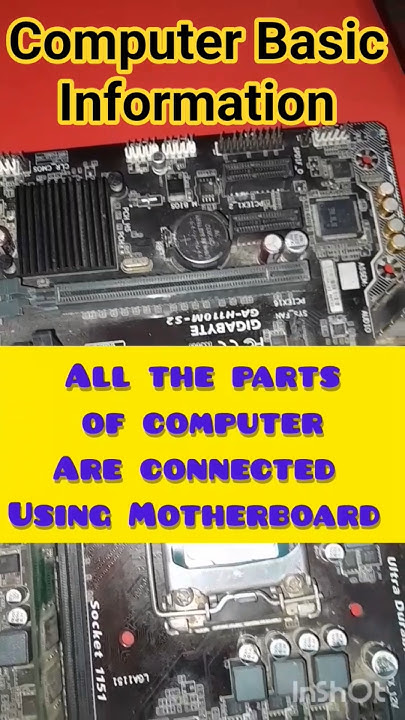 Computer Basic Information #computer #computerknowledge #computerbasics #tricks #tips - YouTube