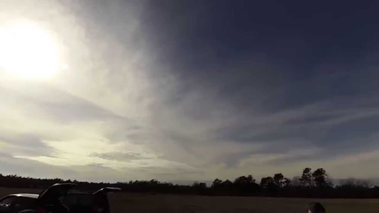 Wildcat chasing Wildcat - YouTube