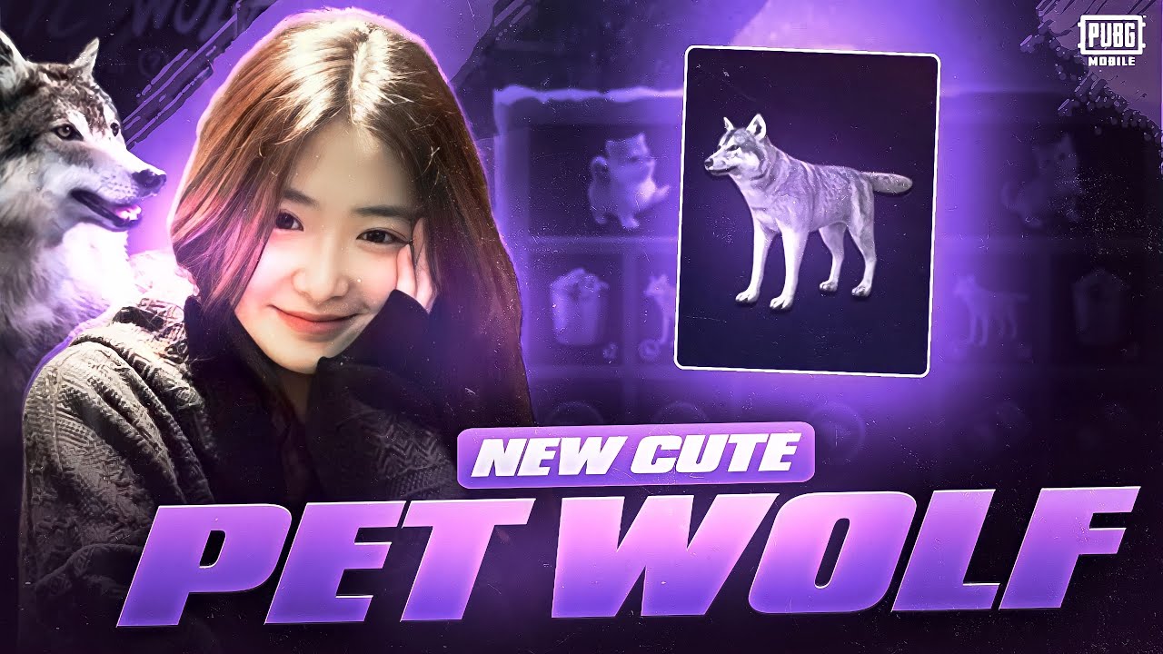 New Wolf Pet In Just 2k 😍 | WONDER GIRL | PUBGM - YouTube
