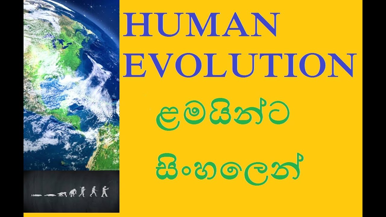 Human evolution | Human evolution for kids | Evolution from ape to man ...