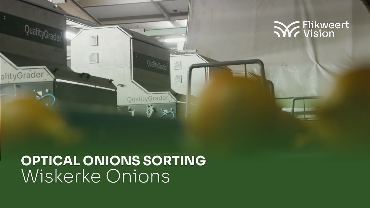 More efficient quality Control at Wiskerke Onions thanks to automation ...