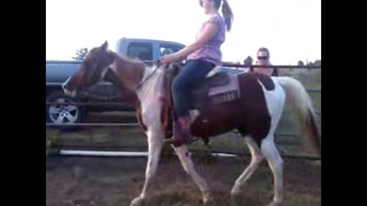 Ranger's 45 rides with Riddle Cattle Co - YouTube