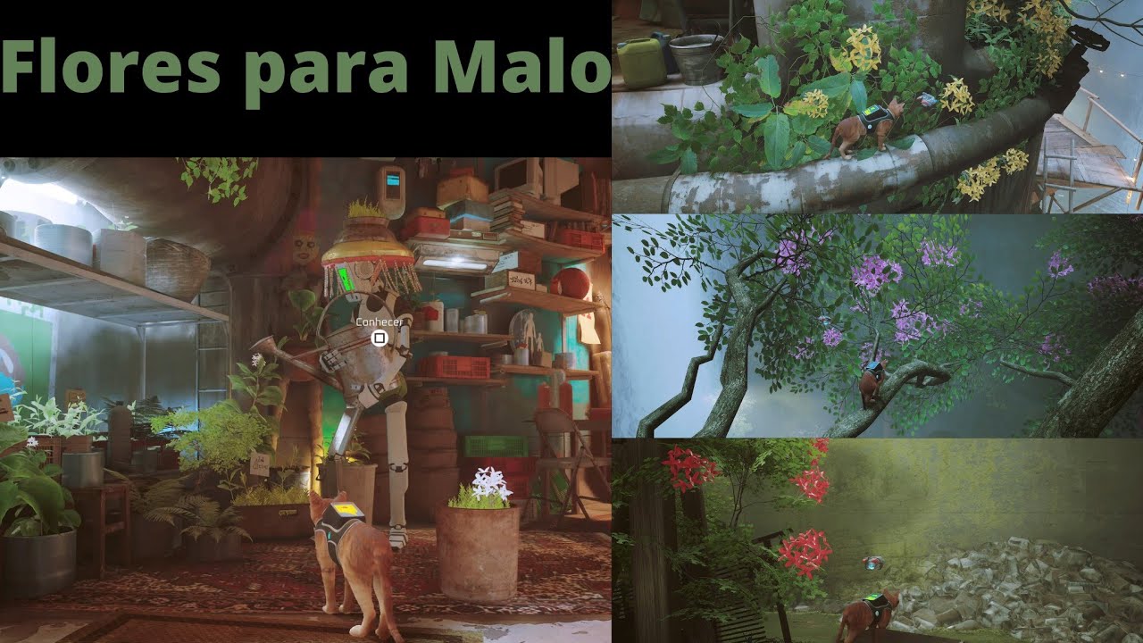 Stray flores malo quest - YouTube