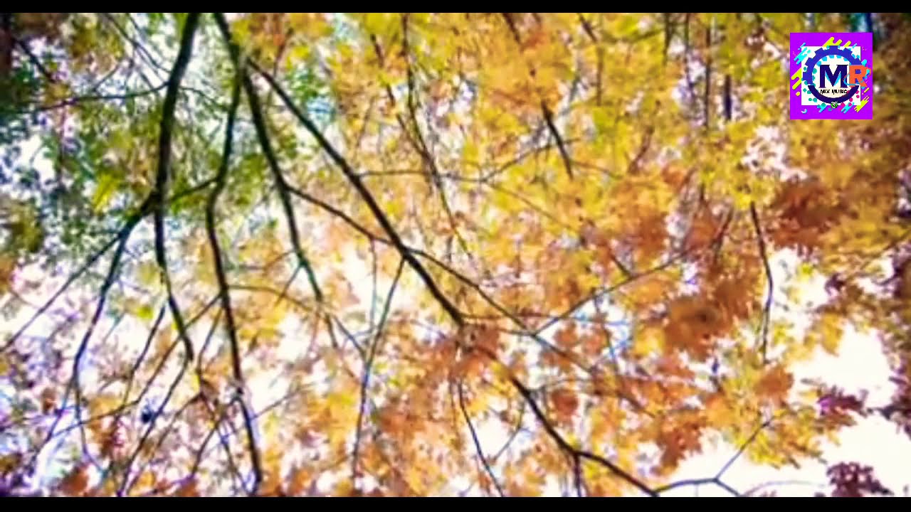 Quiet Music To Relax And Unwind YouTube quiet-music-to-relax-and-unwind-youtube