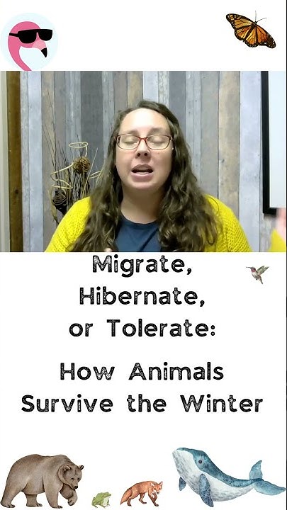 Migrate, Hibernate, or Tolerate How Animals Survive the Winter ...