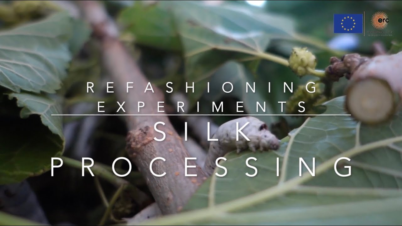 Refashioning Experiments: Silk Processing - YouTube